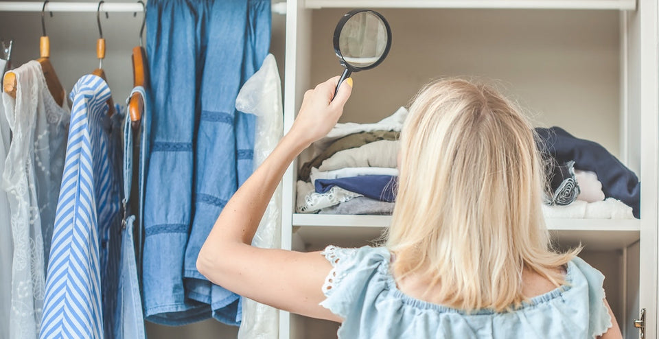 How to Track Down the Source of a Clothes Moth Infestation