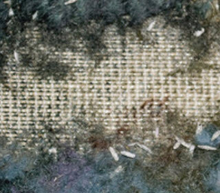 How Do I Get Rid Of Carpet Moths & Carpet Moth Larvae?