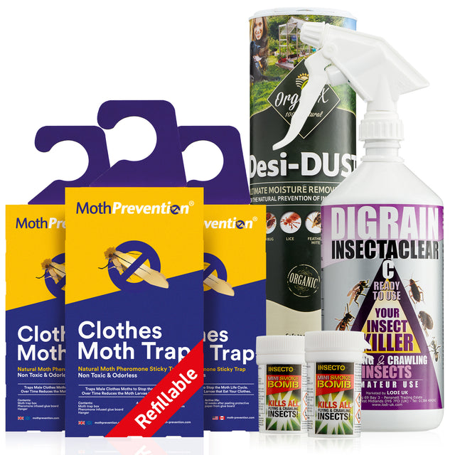 How Do I Get Rid Of Carpet Moths & Carpet Moth Larvae?